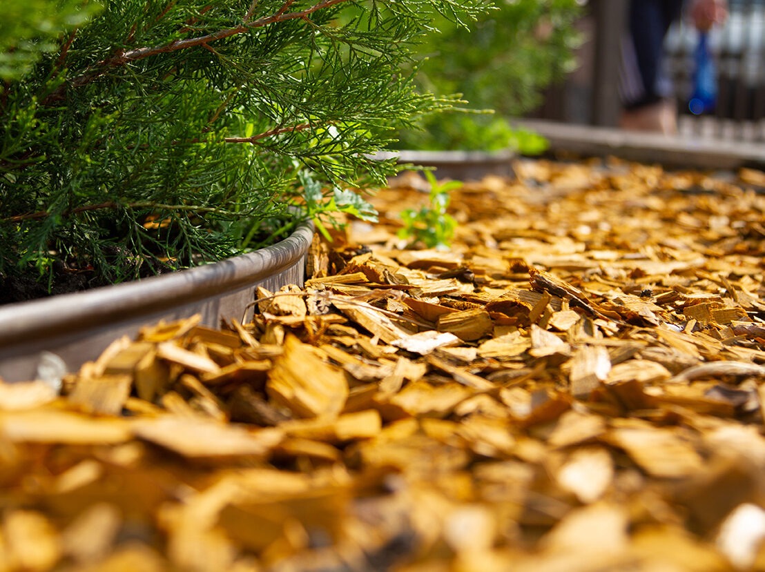 Decorative Chips – Shropshire Biomass Fuel